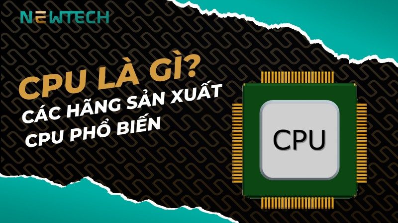 CPU là gì? Các hãng sản xuất CPU được sử dụng phổ biến